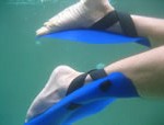 Fins on legs! Multi-benefit. Multi-purpose - shinfin™ leg fins